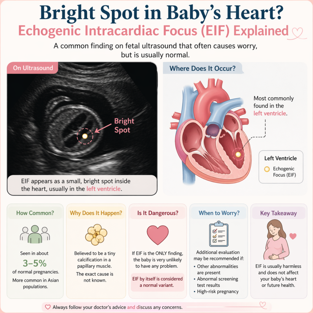 Bright Spot in Baby’s Heart? (Echogenic Intracardiac Focus Explained ...
